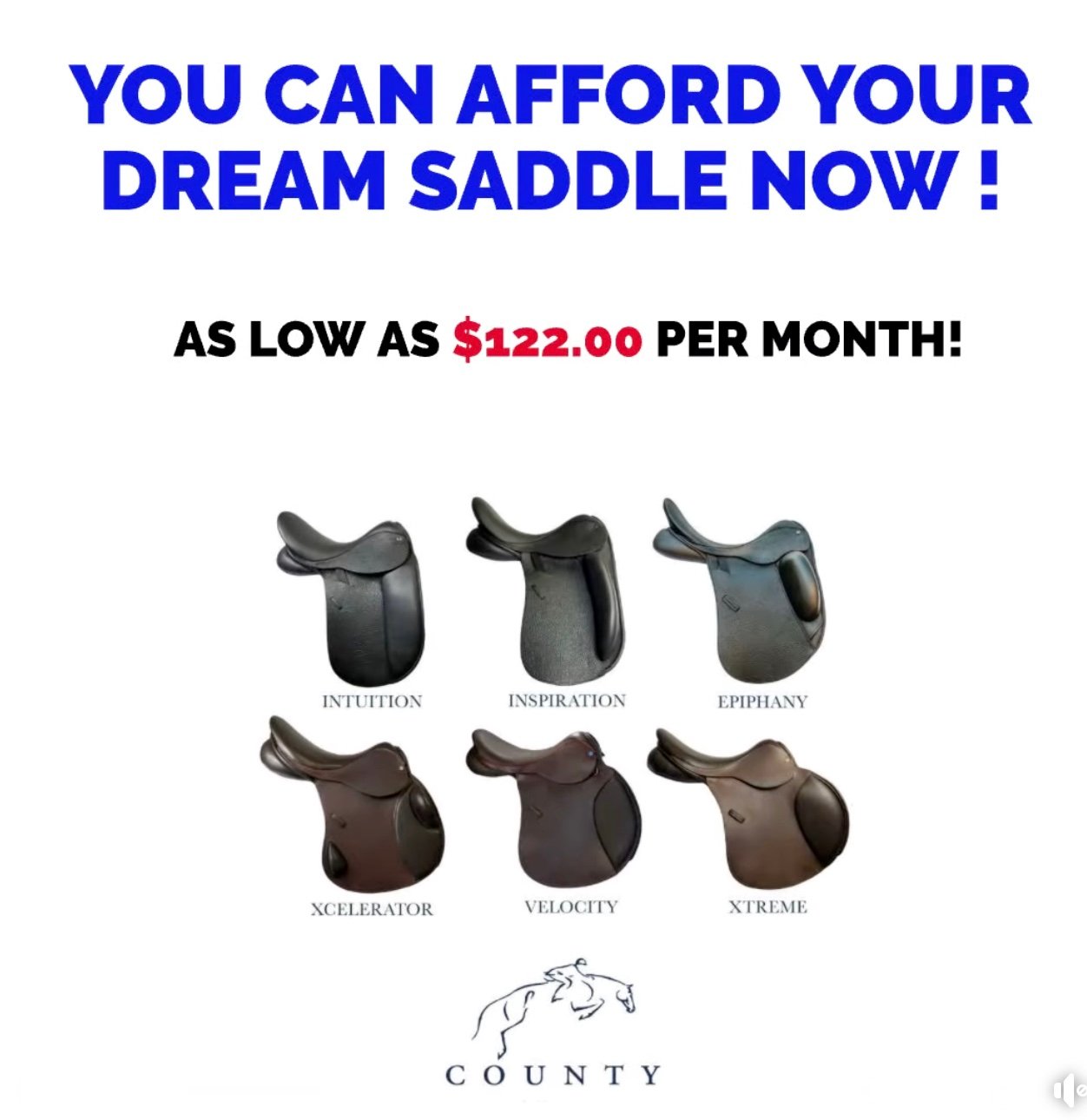 SADDLE FITTING - DOES YOUR SADDLE FIT? - County Saddlery Equestrian ...